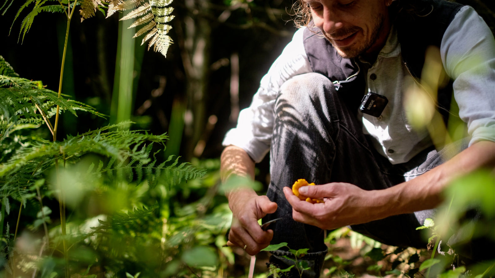 Late Spring Foraging Experience - Cowdray Estate, Midhurst