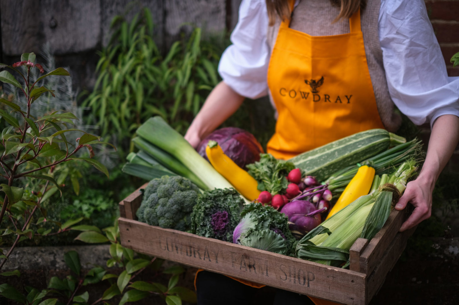 Farm Shop Event Booking Terms and Conditions - Cowdray Estate