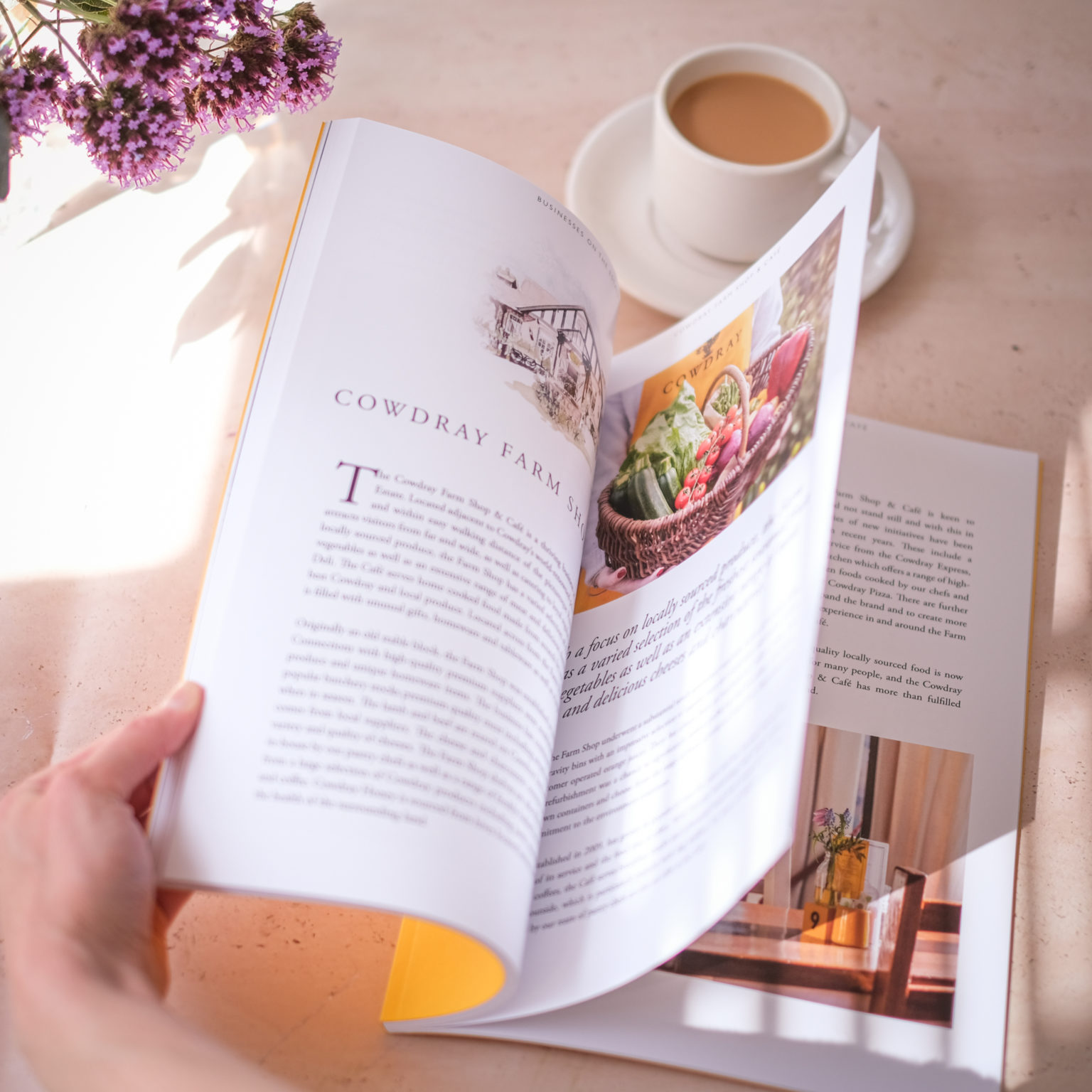 Cowdray History Book - Cowdray Estate