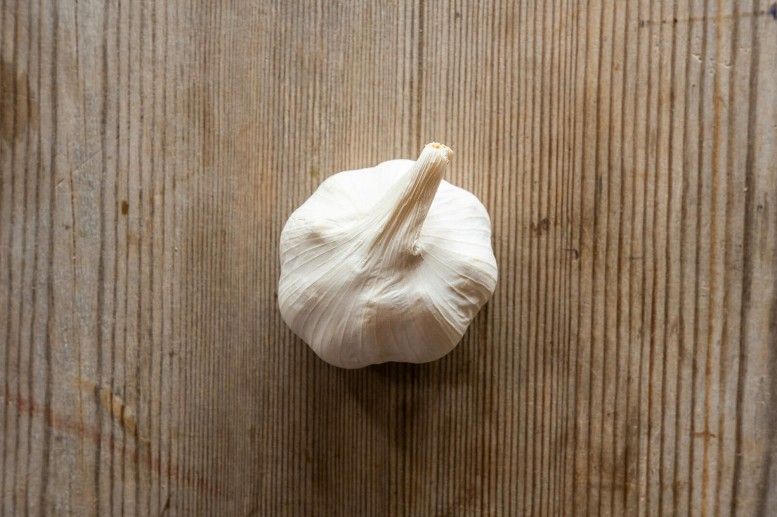 Garlic Bulb - Cowdray Estate