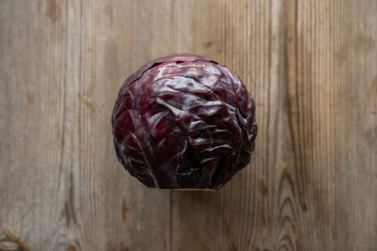 Red Cabbage - Cowdray Estate