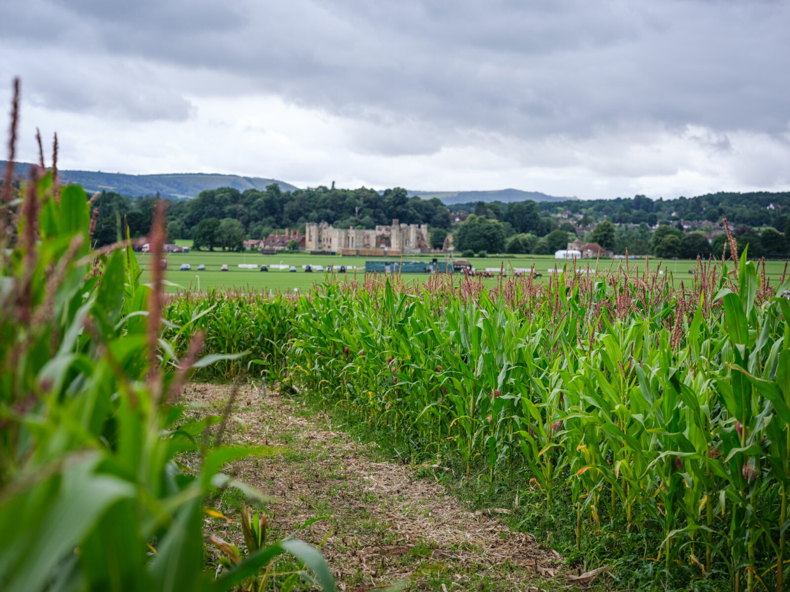 Pirates & Smugglers Takeover at Cowdray's Maize Maze with the Cowdray ...