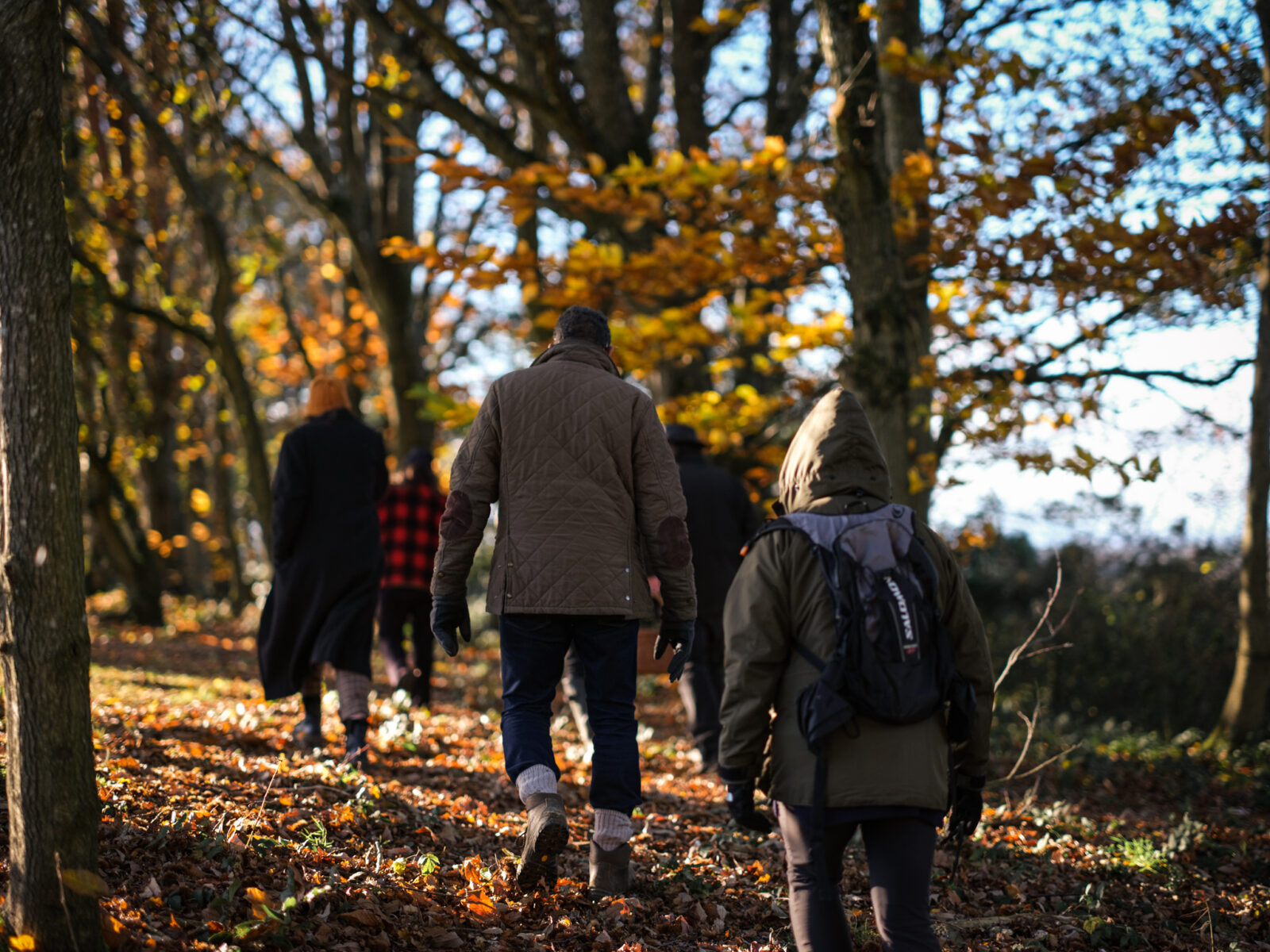 Fungi of Autumn Foraging and Wild Picnic Feast - West Sussex